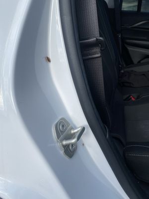 FOX RENT A CAR - Updated January 2026 - 185 Photos & 884 Reviews - 3275 ...