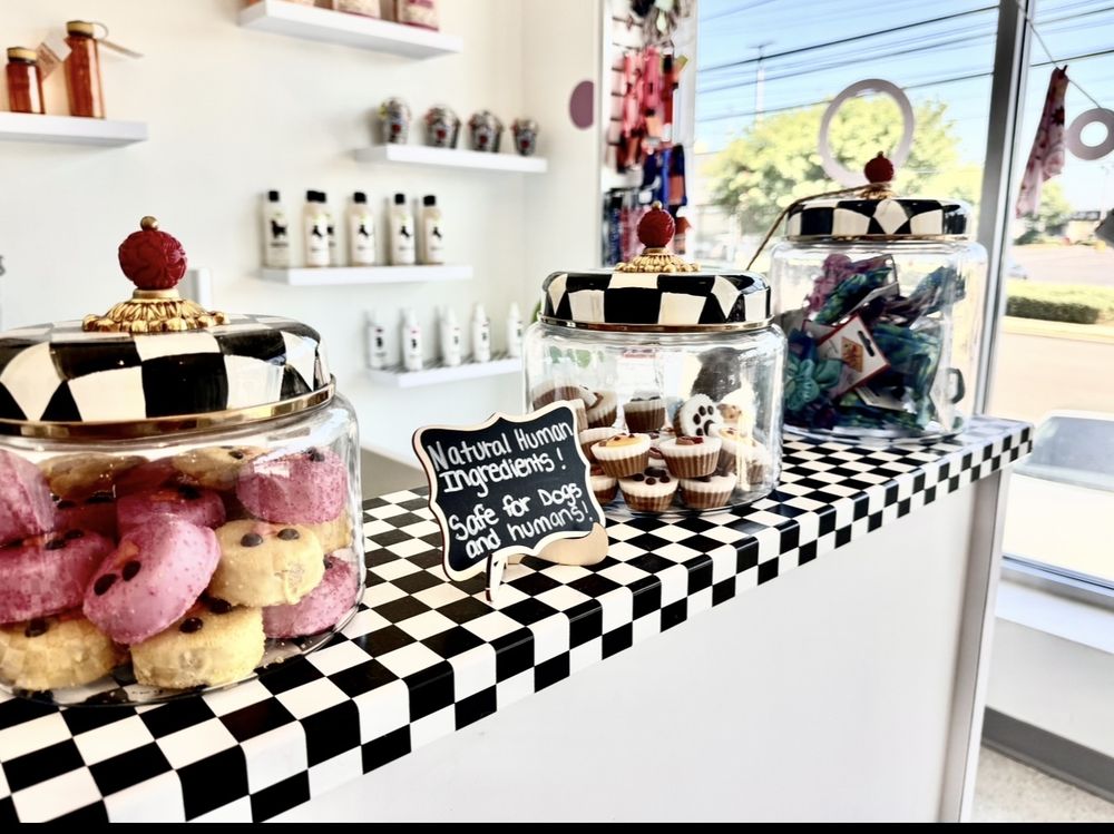 BUBBLY PAWS - Updated July 2025 - 18 Photos - 263 Voice Rd, Carle Place ...