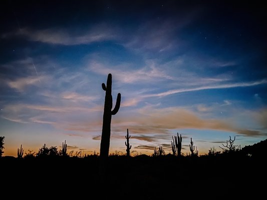 USERY MOUNTAIN REGIONAL PARK - Updated July 2024 - 261 Photos & 92 ...