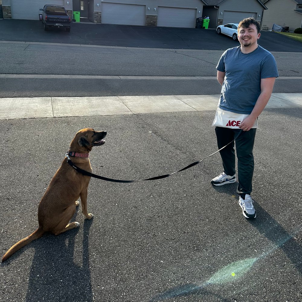 COLEMAN DOG TRAINING - Updated November 2025 - Request Consultation ...