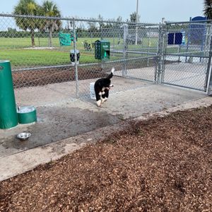 POOCH DOG PARK - Updated June 2025 - 1297 Parkview Ct, North Fort Myers ...