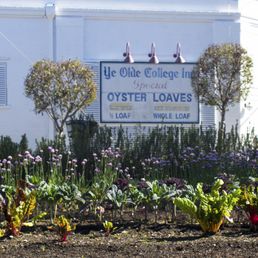 YE OLDE COLLEGE INN - Updated October 2025 - 369 Photos & 289 Reviews ...