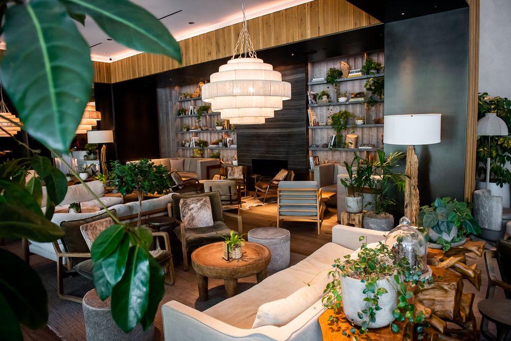 FLORA LOUNGE - Updated February 2025 - 550 Wellington St W, Toronto ...