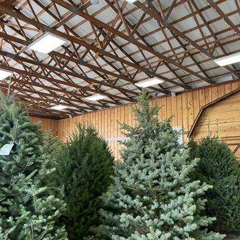 GAVER TREE FARM & PUMPKIN PATCH - Updated August 2025 - 264 Photos ...