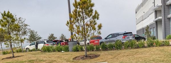 NELLIS AUCTION - Updated October 2025 - 36 Photos & 53 Reviews - 3615 Grand Pkwy, Katy, Texas ...