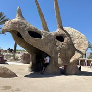 ALIANTE NATURE DISCOVERY PARK - 345 Photos & 119 Reviews - 2627 Nature ...