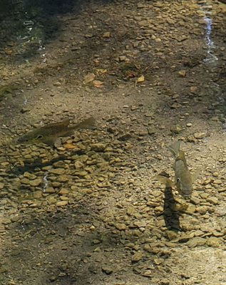 PYRAMID STATE PARK - Updated December 2024 - 1562 Pyramid Park Rd ...