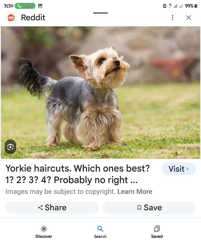 WILLIS ANIMAL CLINIC - Updated December 2025 - 3598 Mobile Hwy ...