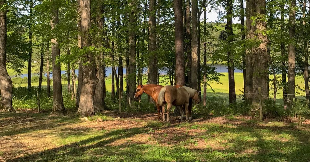 FOX CREEK FARM CAMP - Updated December 2025 - 35 Photos - 908 Moulton ...