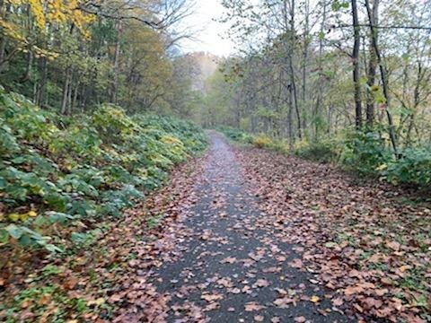 WEST FORK RIVER RAIL-TRAIL - Fairmont, West Virginia - Hiking - Yelp