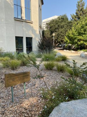 MOUNTAIN VIEW PUBLIC LIBRARY - Updated August 2025 - 159 Photos & 263 ...