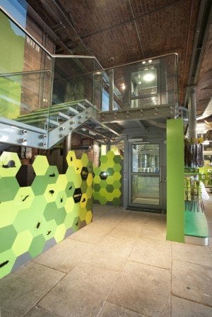 THE BUG WORLD EXPERIENCE GIFT SHOP - Updated June 2024 - Albert Dock ...