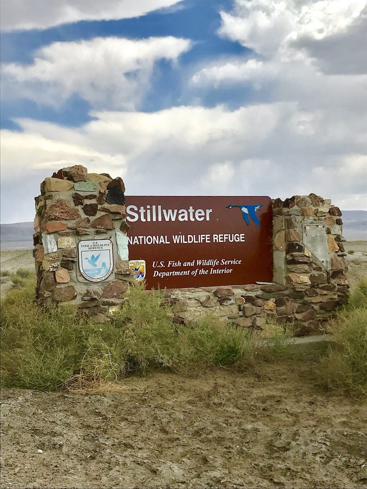 STILLWATER NATIONAL WILDLIFE REFUGE - 1020 New River Pkwy, Fallon, NV ...