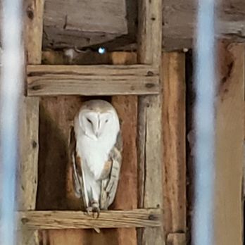 HOWELL NATURE CENTER - Updated December 2025 - 51 Photos & 30 Reviews ...