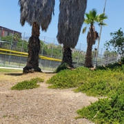 PAN PACIFIC PARK - 158 Photos & 181 Reviews - 7600 Beverly Blvd, Los ...