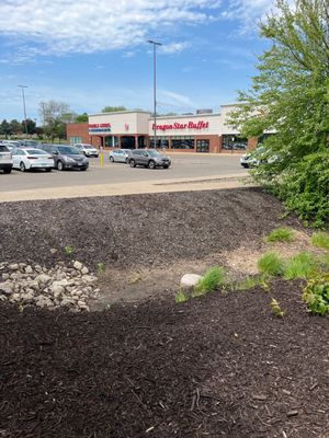 DRAGON STAR BUFFET - 10 Photos & 23 Reviews - 14103 Irving Ave S ...