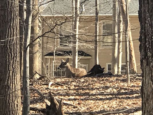 MATTHEW HENSON TRAIL - Updated January 2026 - 12 Photos - Silver Spring ...