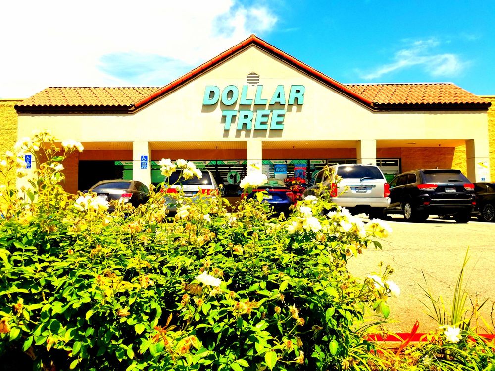 DOLLAR TREE - Updated July 2024 - 32 Photos & 53 Reviews - 11975 ...