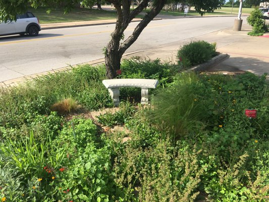 FORT WORTH PUBLIC LIBRARY - SOUTHWEST - Updated October 2025 - 43 ...