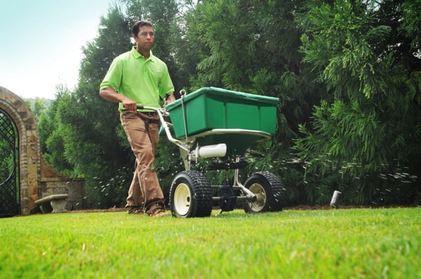 WAYNES PEST CONTROL - Updated August 2025 - 21 Photos & 12 Reviews ...