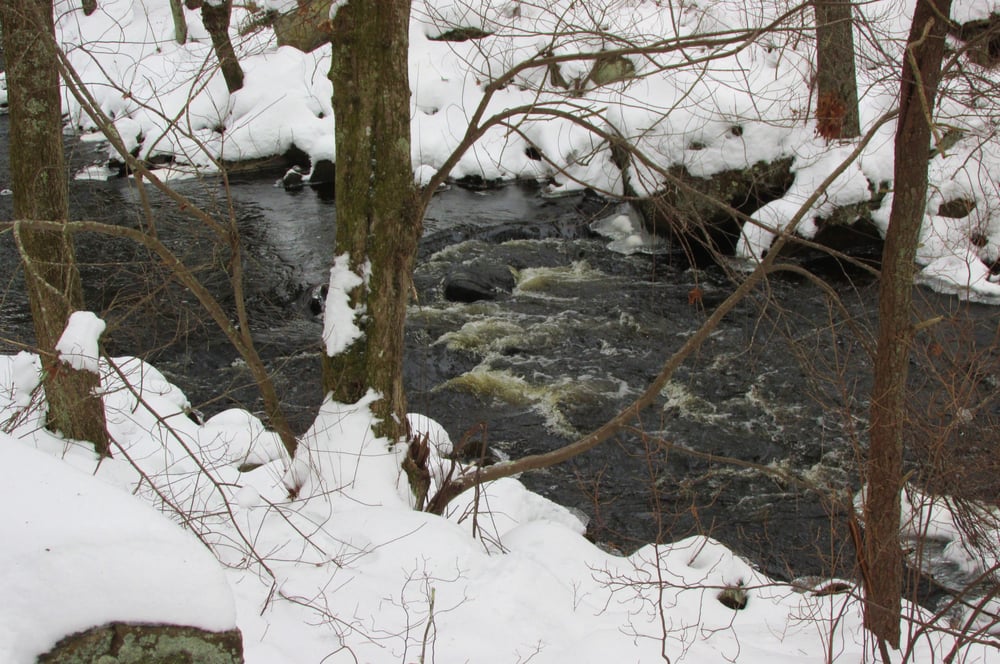 FORGE POND CONSERVATION AREA - Updated December 2025 - 17 Photos ...