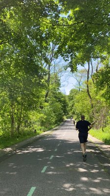 ALLEY POND ADVENTURE COURSE - Updated May 2024 - 14 Photos & 13 Reviews ...