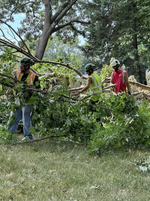 STANLEY TREE SERVICE - Updated October 2025 - 16 Photos & 59 Reviews ...