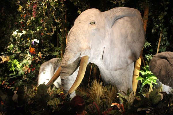 RAINFOREST CAFE - 312 Photos & 278 Reviews - 4915 Clifton Hill, Niagara ...
