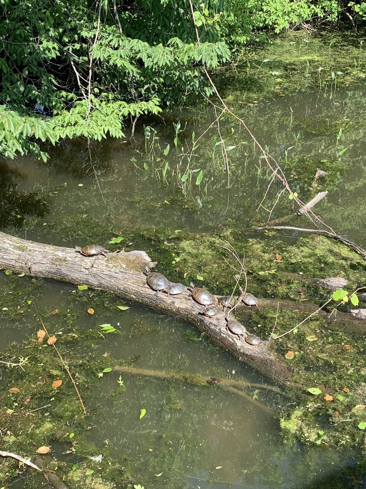 CONGERS LAKE PARK - 28 Photos - Congers, NY - Yelp