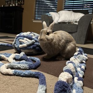 VCA BECKER ANIMAL HOSPITAL AND PET RESORT - Updated September 2025 ...