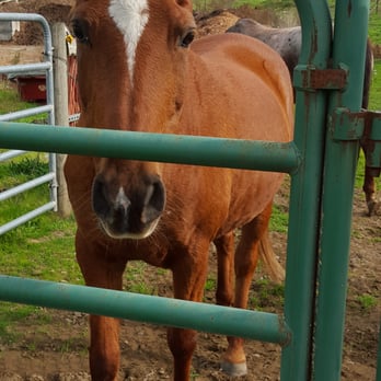 RUSTY BAR RANCH - Updated December 2025 - 29 Photos & 10 Reviews ...