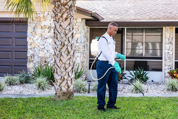 DAVE’S PEST CONTROL - Updated October 2025 - 18 Photos - 400 Commerce ...