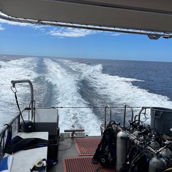 JACK’S DIVING LOCKER - Updated June 2024 - 225 Photos & 487 Reviews ...