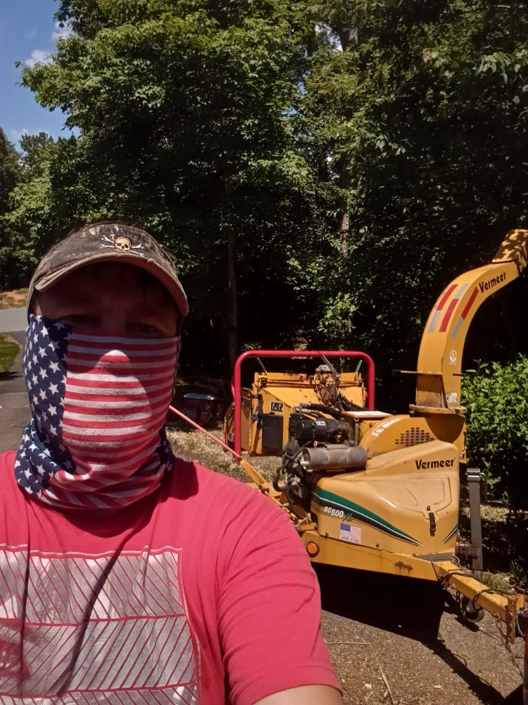 PRECISION TREE SERVICE - Request a Quote - Fredericksburg, Virginia ...