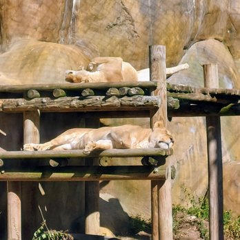 ERIE ZOO - Updated August 2025 - 184 Photos & 67 Reviews - 423 W 38th ...