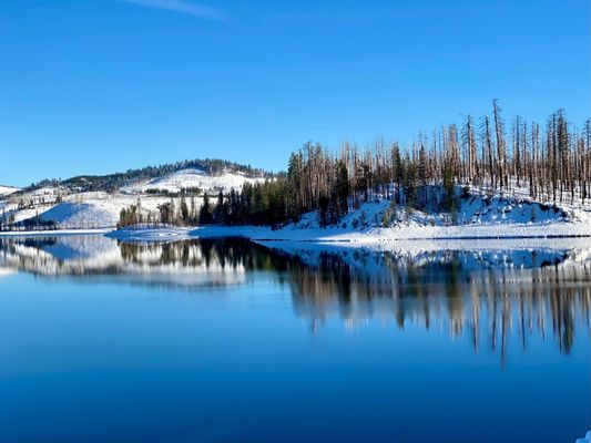 STUMPY MEADOWS - Updated February 2025 - 102 Photos & 53 Reviews ...