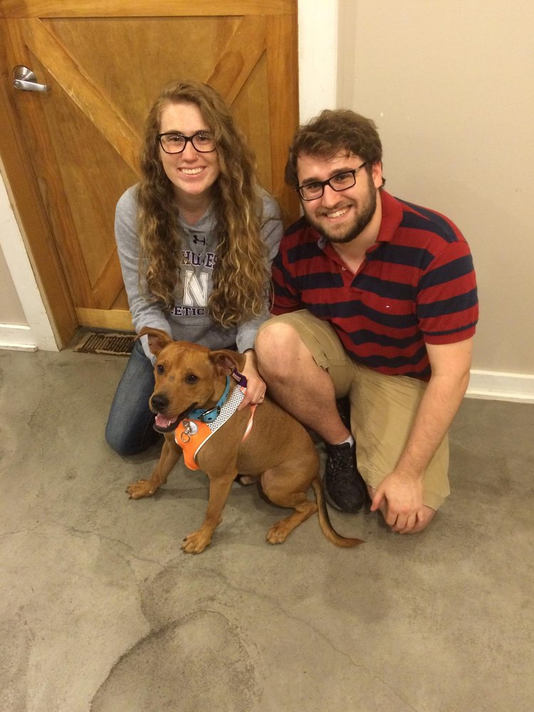 ALIVE RESCUE - Updated May 2025 - 49 Reviews - 2227 W Belmont Ave ...