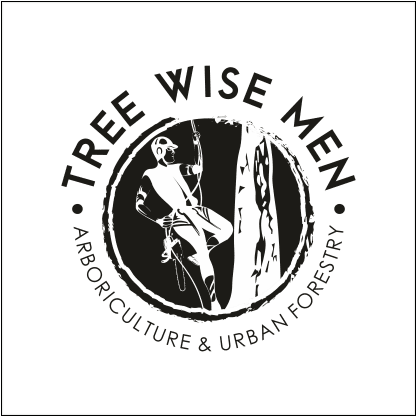 TREE WISE MEN - Updated December 2025 - Lead, South Dakota - Tree ...