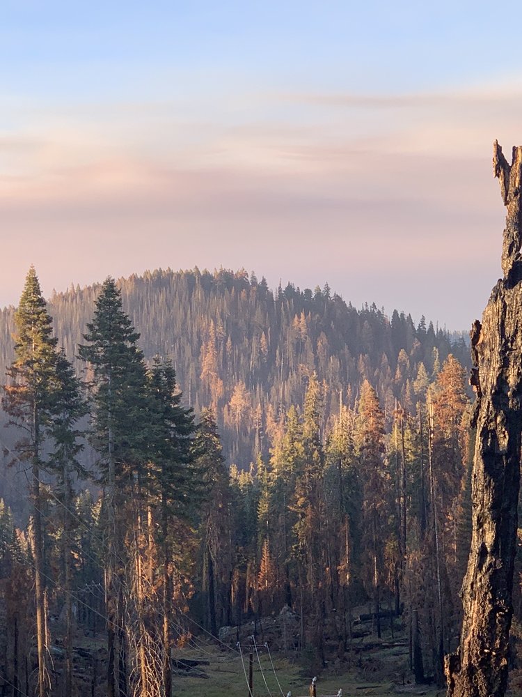 QUAKING ASPEN CAMPGROUND - 99 Photos & 36 Reviews - Giant Sequoia ...