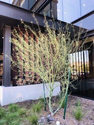 KAISER PERMANENTE PORTER RANCH MEDICAL OFFICES - 41 Photos & 34 Reviews ...