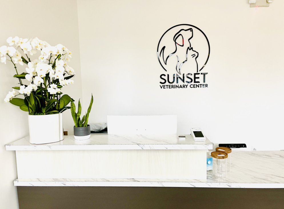 SUNSET VETERINARY CENTER - Updated October 2025 - 117 Photos & 157 ...