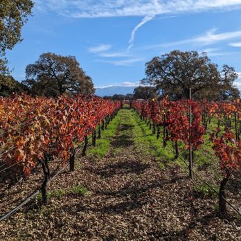 ROBLAR WINERY - Updated February 2025 - 707 Photos & 455 Reviews - 3010 ...