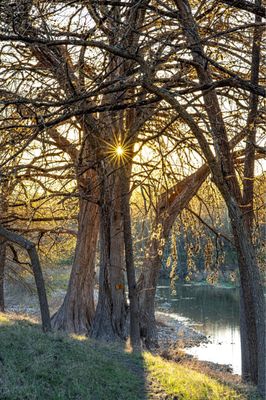 FRIO PECAN FARM LOG CABINS & RV PARK - Updated October 2025 - Leakey ...