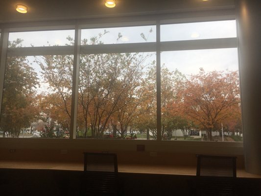 UC DAVIS BLAISDELL MEDICAL LIBRARY - Updated July 2025 - 12 Photos & 10 ...