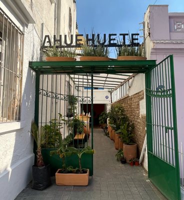 AHUEHUETE AMERICANA - PLANTAS Y CAFÉ - Av. Ignacio L. Vallarta 1069B ...