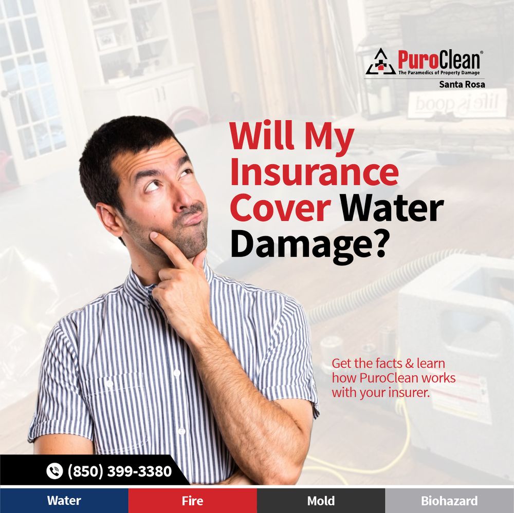 PURO CLEAN - Updated April 2025 - 533 Forrest Shore Dr, Miramar Beach ...