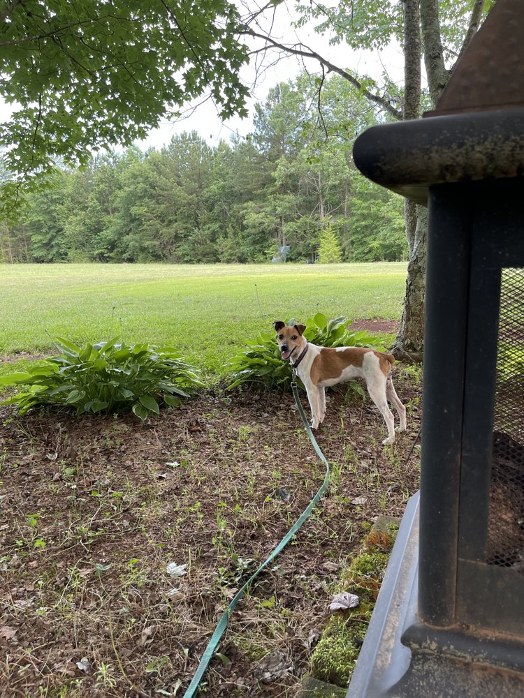 EARLY CUTS - Updated June 2025 - Request a Quote - 151 Rambo Dr, Seneca ...