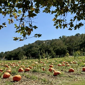 BATES NUT FARM - Updated August 2025 - 1816 Photos & 531 Reviews ...