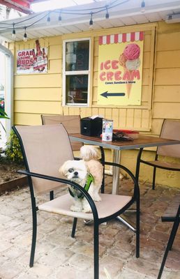 KOOKY COCONUT - Updated September 2025 - 300 Photos & 499 Reviews - 760 ...