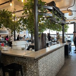 AVIANO COFFEE - Updated July 2025 - 488 Photos & 625 Reviews - 244 ...